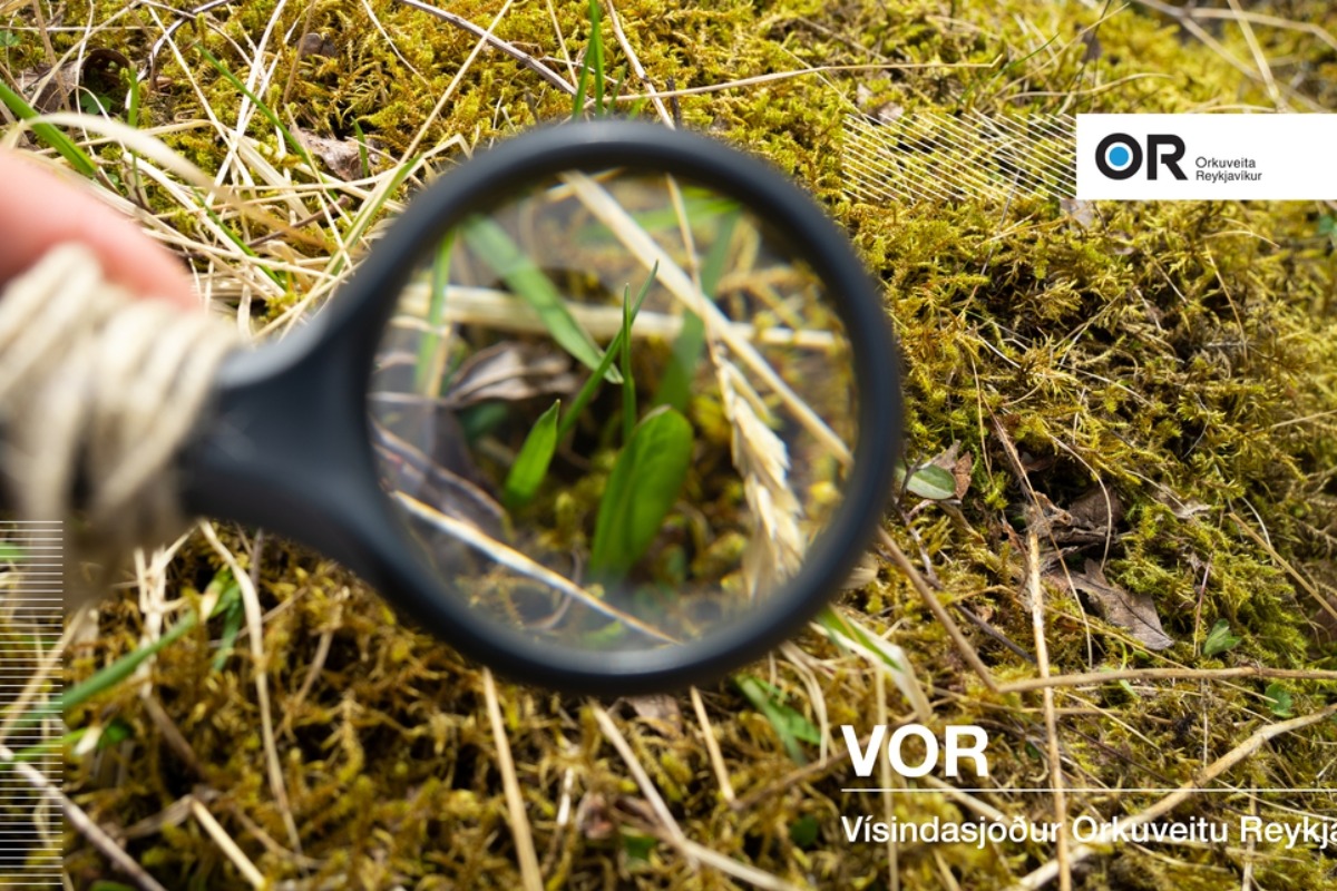 Viðburðalisti | SSNE.is